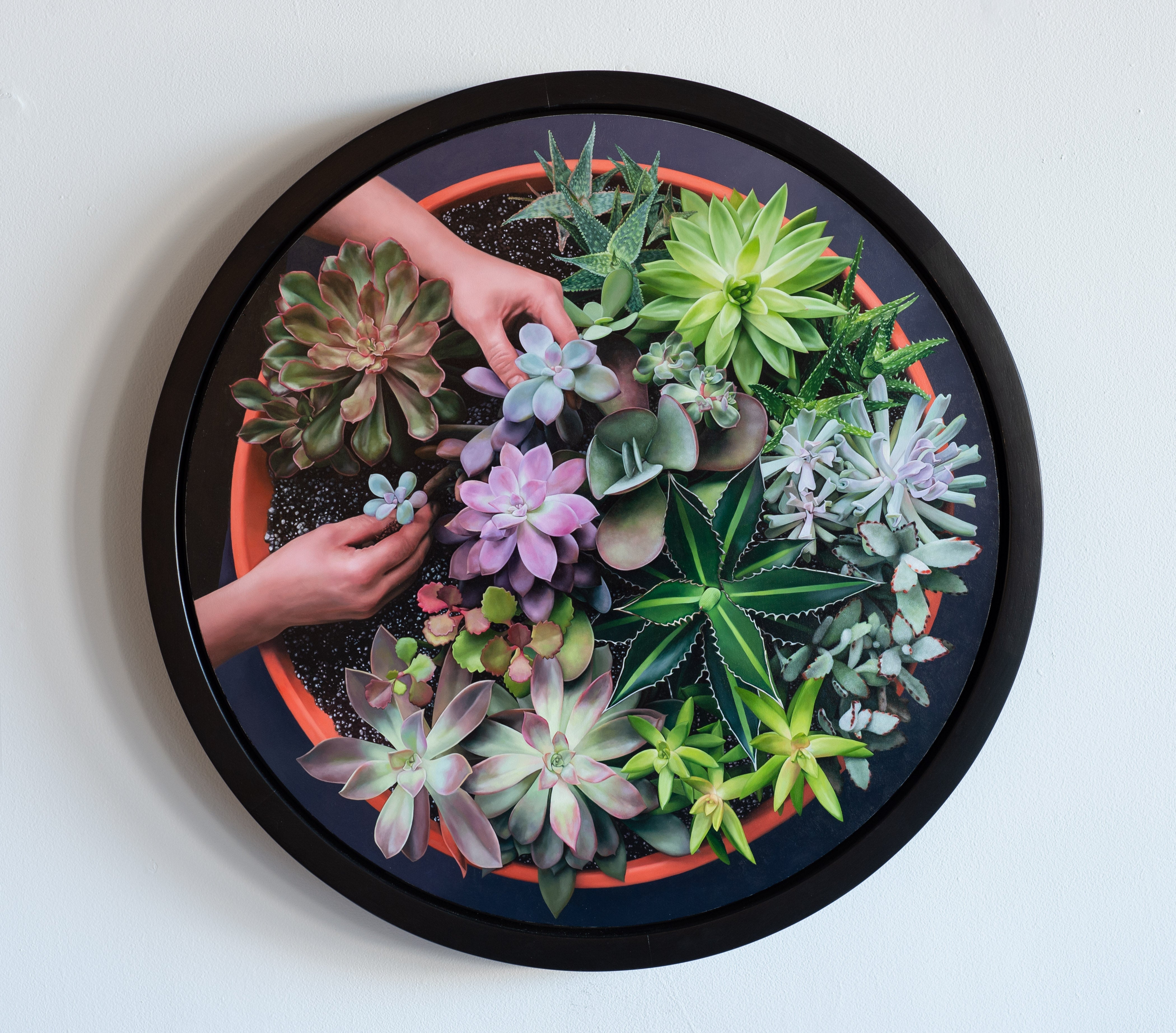 An Art Exhibit Where Nature Blooms in Unexpected Ways – Robert Lange Studios