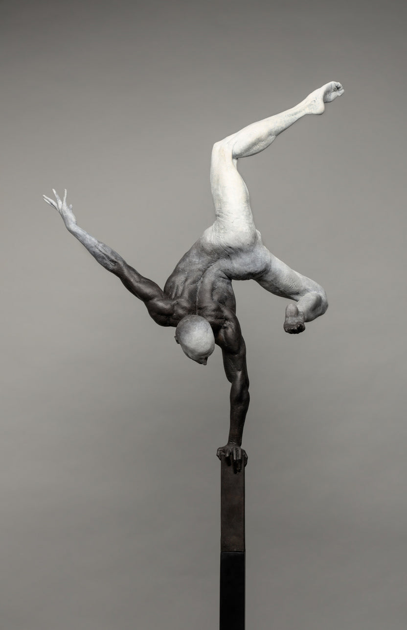 Collections – Robert Lange Studios