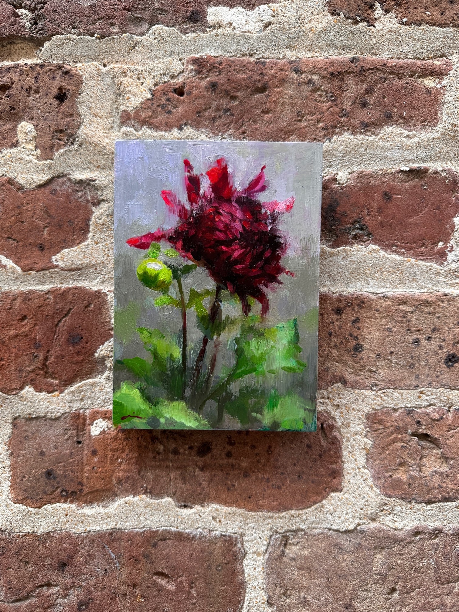 Lush – Robert Lange Studios