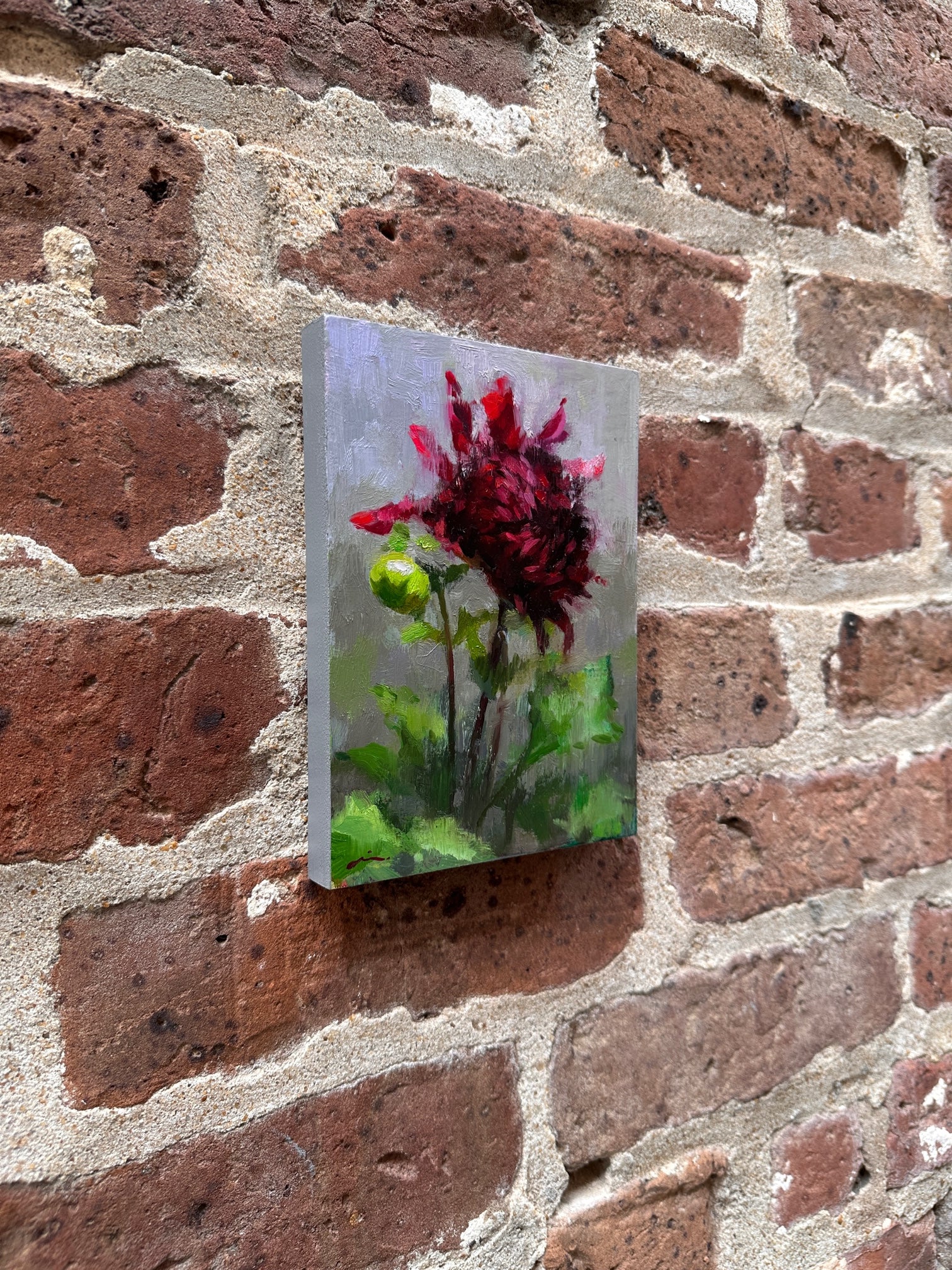 Lush – Robert Lange Studios